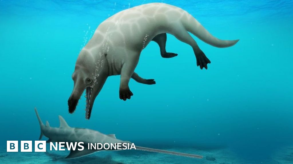 Fosil paus purba berkaki empat yang hidup puluhan juta tahun lalu ...