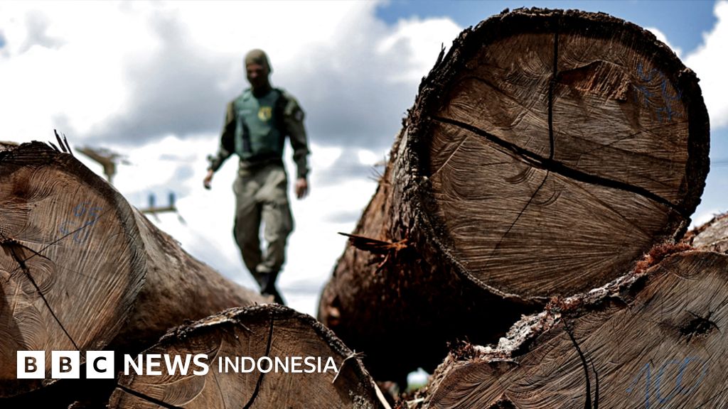 Deforestasi melonjak pada 2022, Indonesia disebut 'berhasil menurunkan ...