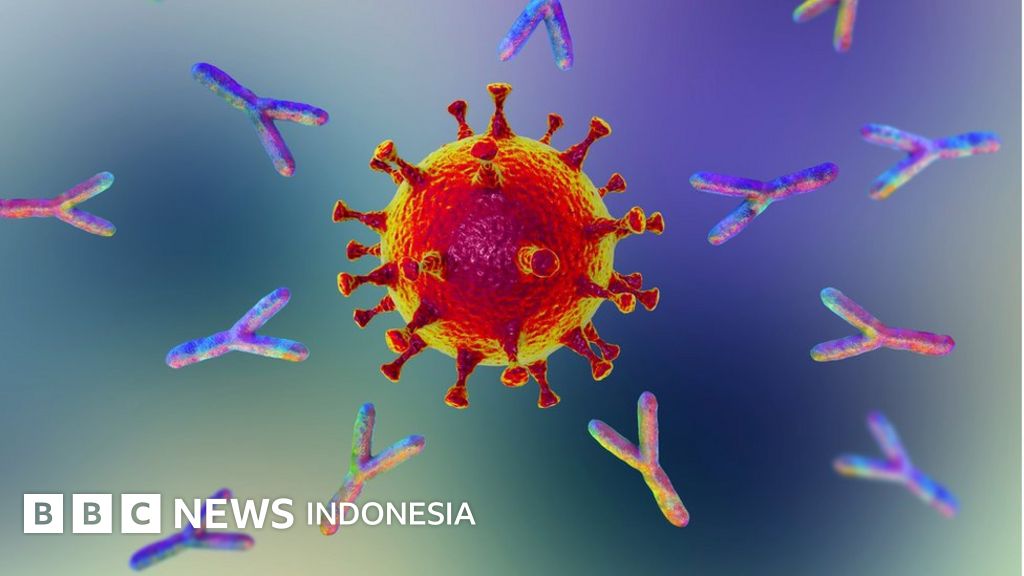 Covid: Apakah antibodi 'nakal' mendorong virus corona menjadi parah dan mengapa dipandang ...