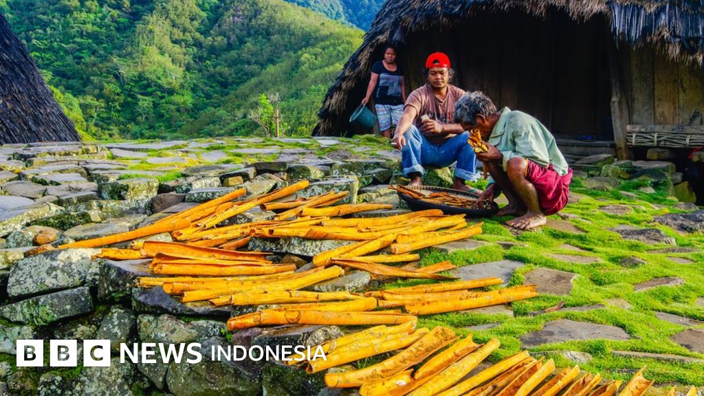 Petani kayu manis Flores di pameran foto kebun internasional di London ...