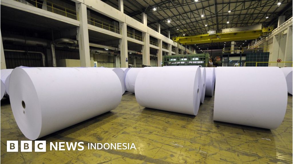 Perusahaan kertas Indonesia APP menyangkal membeli perusahaan Brasil ...