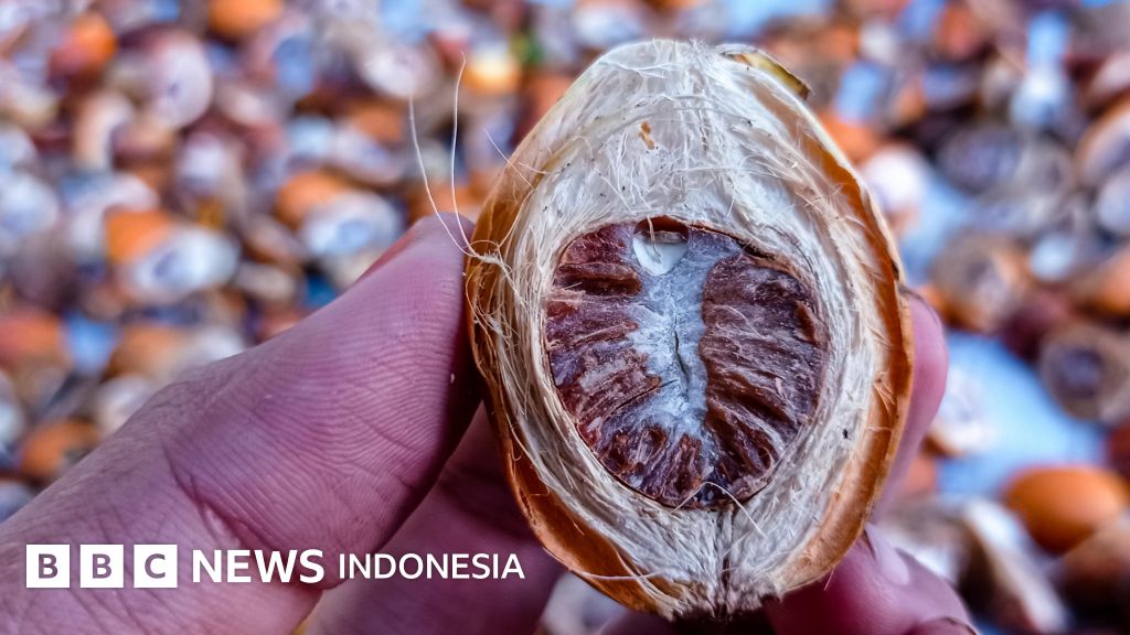 Tradisi menginang: Kisah yang terpatri di relief Borobudur, sejarah ...