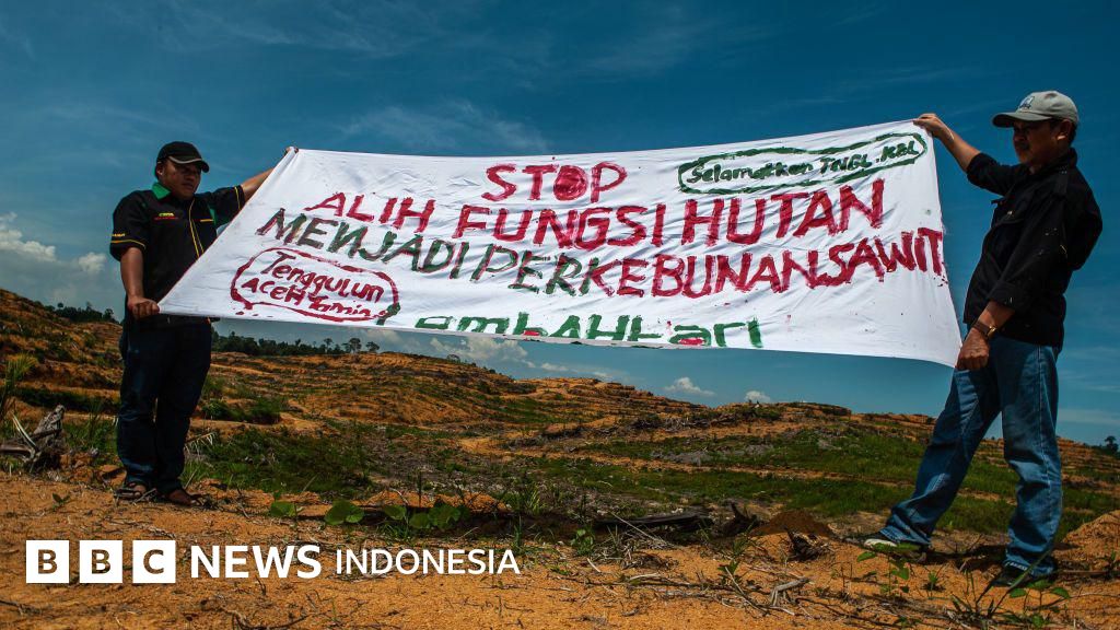 Kelapa sawit: Prabowo ingin Indonesia tambah lahan sawit – 'Enggak usah ...