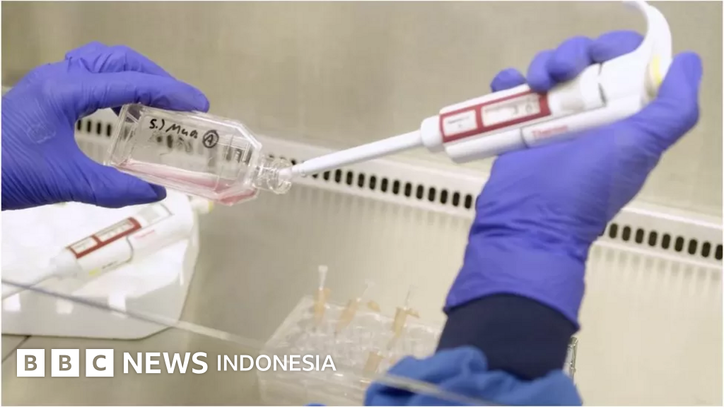 Darah buatan lab diberikan pada manusia dalam uji klinis pertama di ...