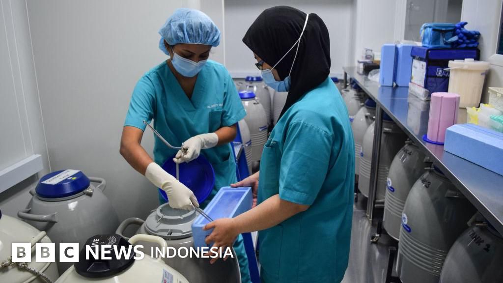 Pembekuan sel telur oleh para perempuan lajang melonjak sejak pandemi ...