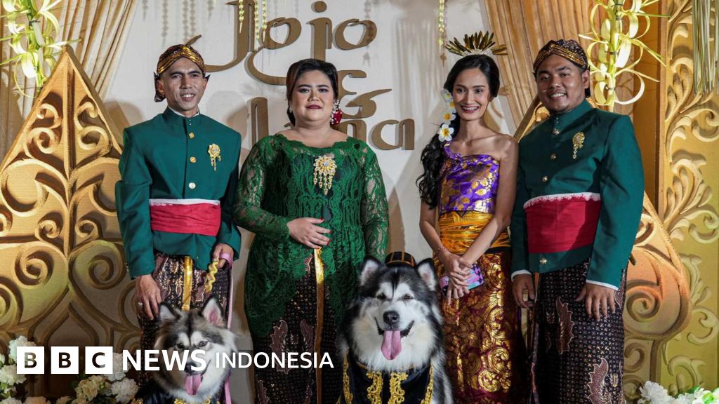 Pernikahan mewah anjing Jojo dan Luna memicu polemik, pemiliknya minta maaf - BBC News Indonesia