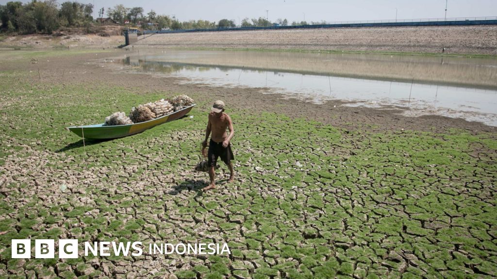Gelombang panas: Tujuh daerah di Indonesia terpapar 'panas ekstrem ...