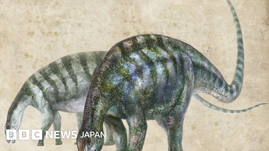 最古の巨大恐竜を新発見、進化や超大陸の新説浮上 中国 - BBCニュース