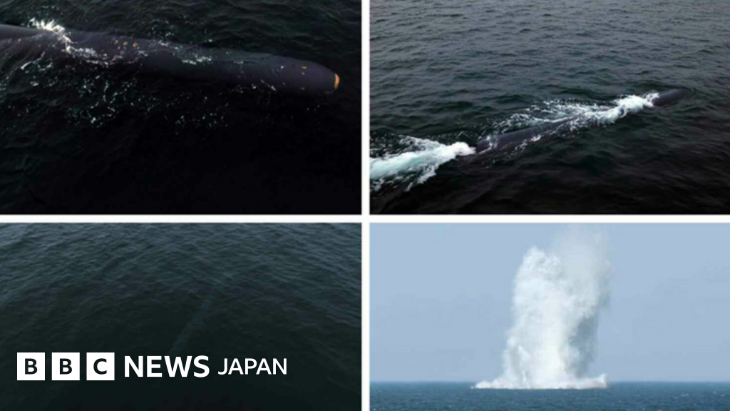 北朝鮮、「水中核兵器システム」を試験＝国営メディア - BBCニュース