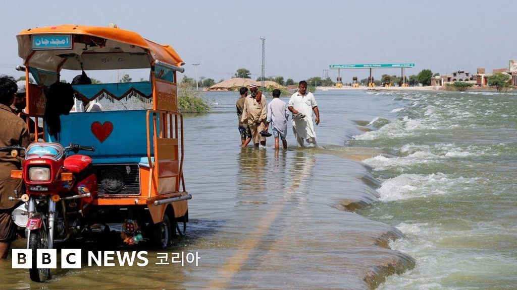 기후변화: COP27가 뭐길래...지구에 중요한 이유는? - BBC News 코리아