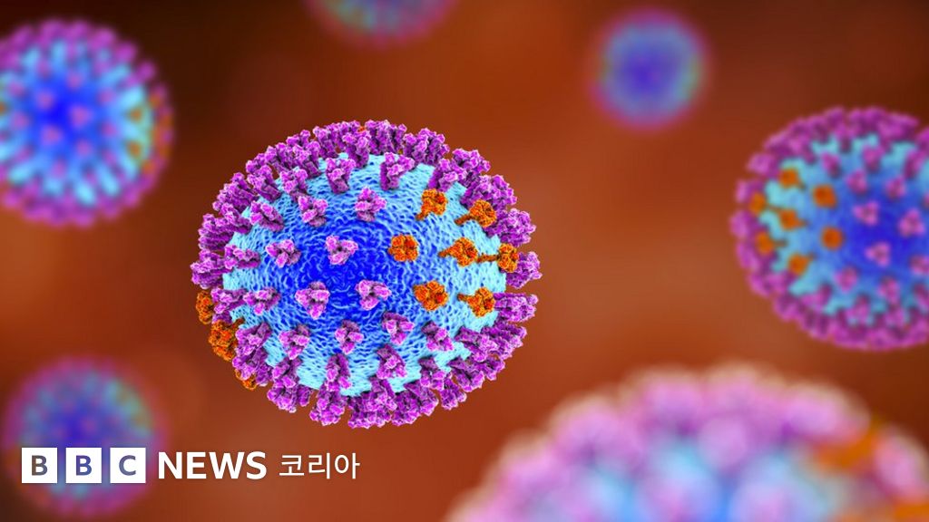 팬데믹: 일반 독감 백신으로 미래 팬데믹에 대항할 수 있다 - BBC News 코리아