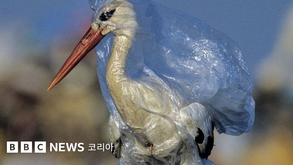 지구의 날 환경 오염의 위험을 보여주는 사진들 Bbc News 코리아