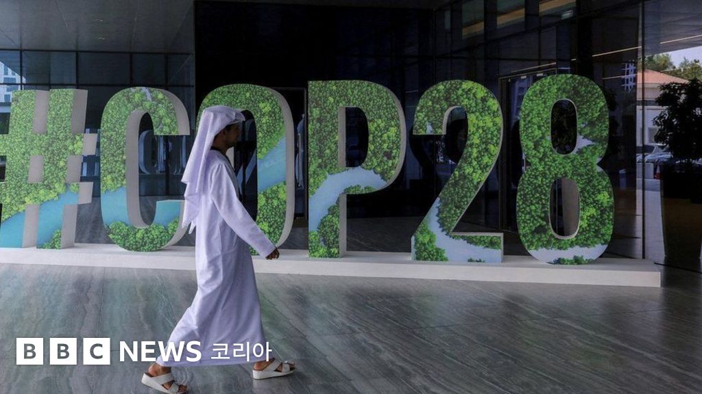 COP28: ‘산유국에서의 기후 정상회담’은 어떤 변화를 일으킬 수 있나? - BBC News 코리아