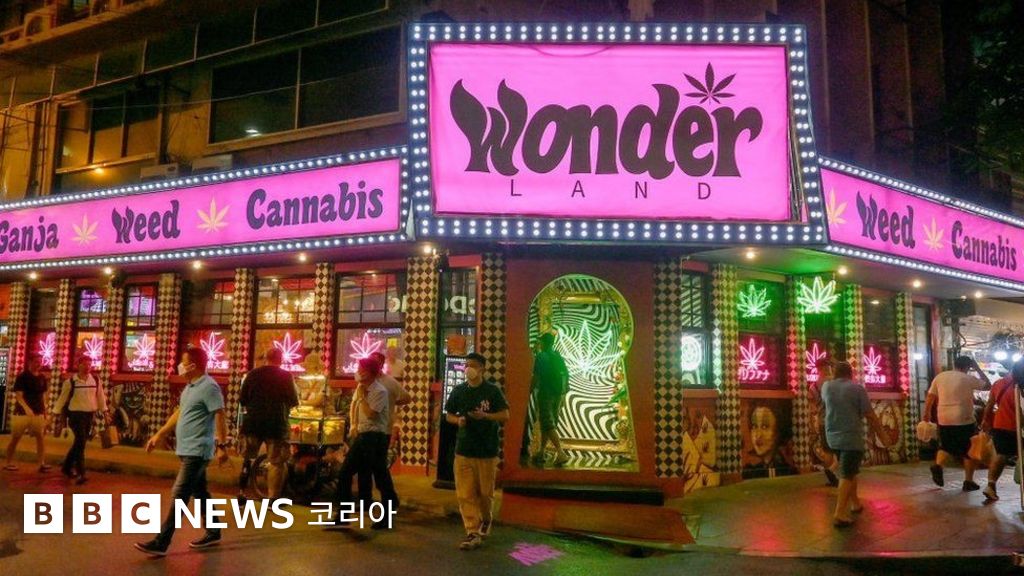 대마 합법화: 동남아의 ‘대마초 원더랜드'가 된 태국 - BBC News 코리아
