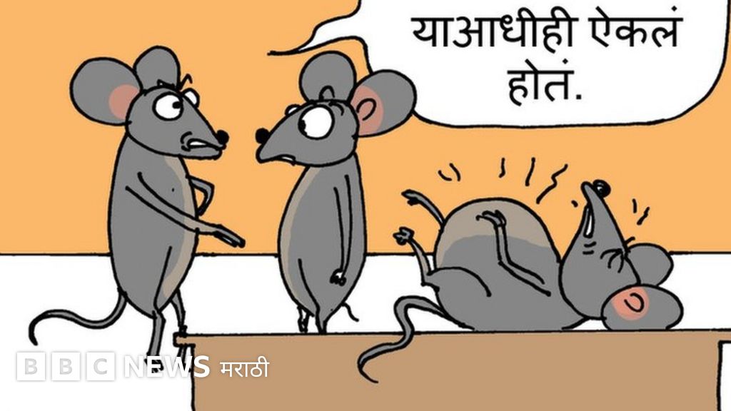 आजचं कार्टून : 2000च्या नोटांमध्ये काही गडबड तर नाही ना? - BBC News मराठी
