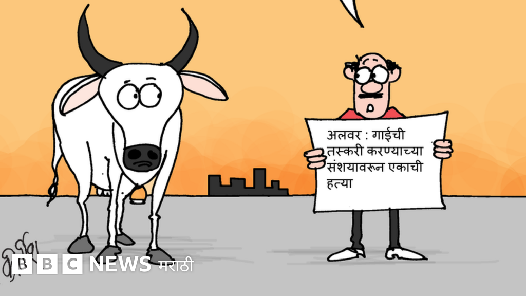 आजचं कार्टून: 'सावधान, पुढे गाय आहे!' - BBC News मराठी