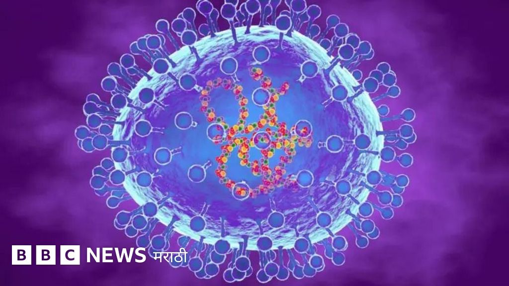 HMPV चे महाराष्ट्रातही संशयित रुग्ण; जाणून घ्या लक्षणं आणि उपाय, सर्वकाही एकाच क्लिकवर - BBC ...