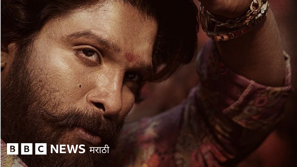 Pushpa सिनेमाने हिंदीत 'या' कारणांमुळे कमावला कोट्यवधींचा गल्ला - BBC ...