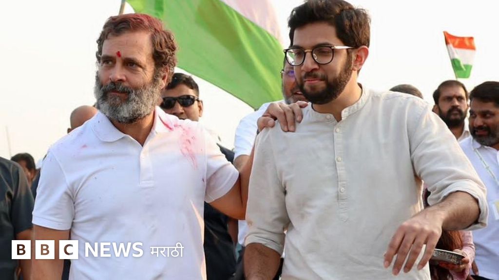 बाळासाहेब ठाकरेंचा नातू राहुल गांधींना मिठी मारतो, मग कुणाचा DNA ...