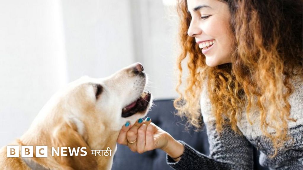 पाळीव प्राण्यांमुळे कोणते संसर्गजन्य आजार होतात? ते टाळण्यासाठी या 5 ...