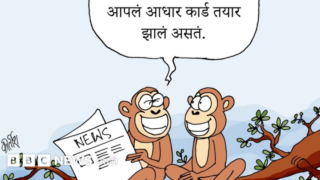 आजचं कार्टून - BBC News मराठी