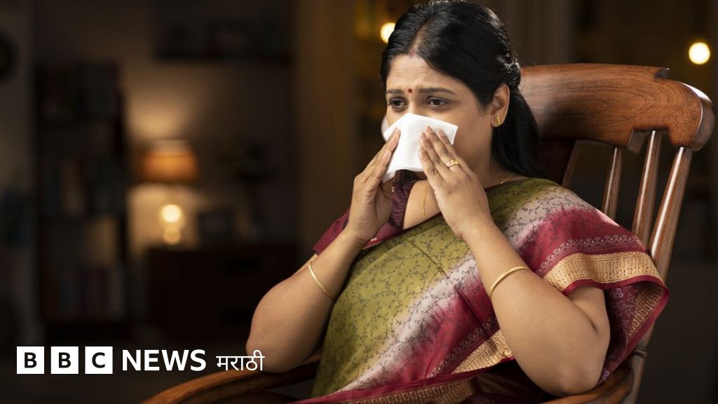 H3N2 व्हायरसचा धोका टाळण्यासाठी ही काळजी घ्या, डॉक्टर म्हणतात.. - BBC News मराठी