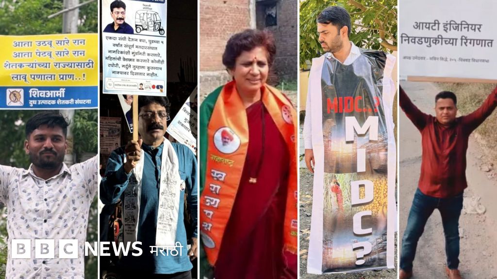 महाराष्ट्र विधानसभा निवडणुकीत MPSC विद्यार्थी, पत्रकार ते IT इंजिनियर का उतरले? - BBC News मराठी