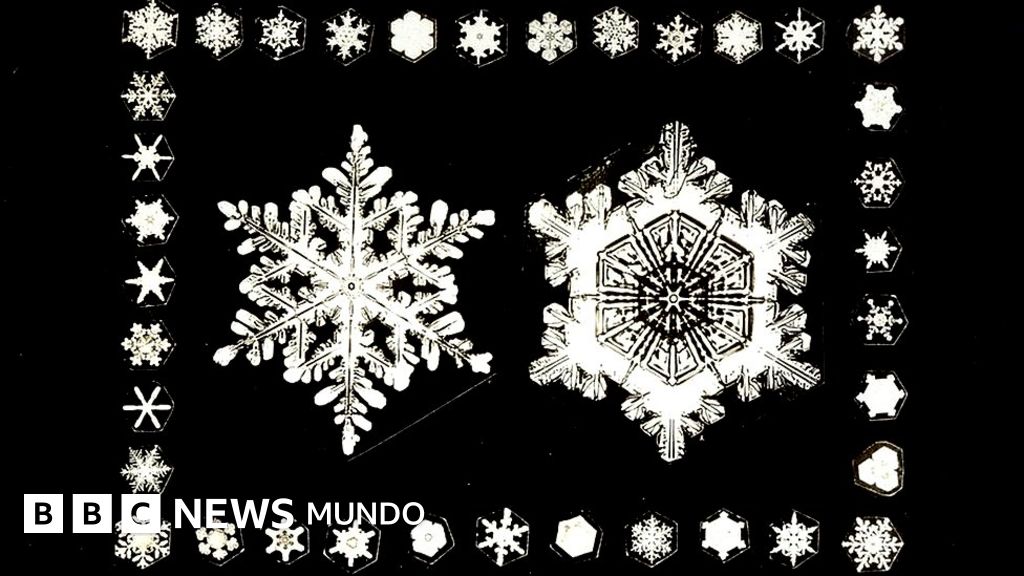 Actividades De Bentley Con Copos De Nieve Kansas Man Accused Of