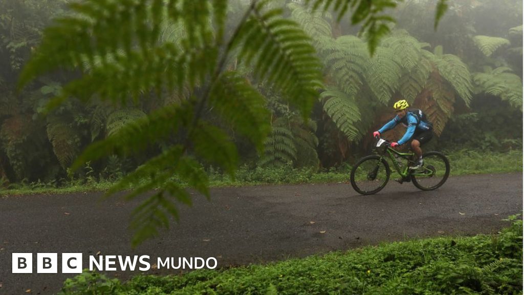 Cambio climático: el plan de Costa Rica para convertirse en el primer ...