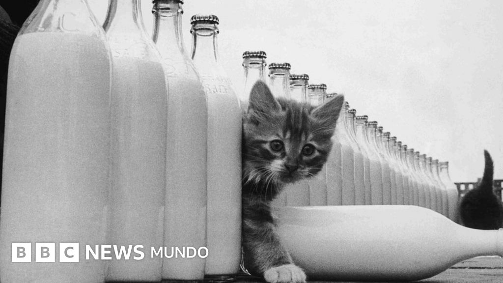 7 casos en los cuales un error de puntuación u ortografía costaron ...