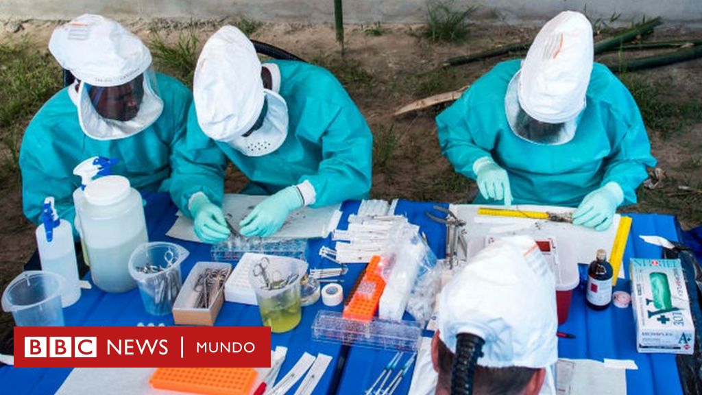 Viruela Del Mono La Oms Declara La Alerta Máxima Por El Aumento De
