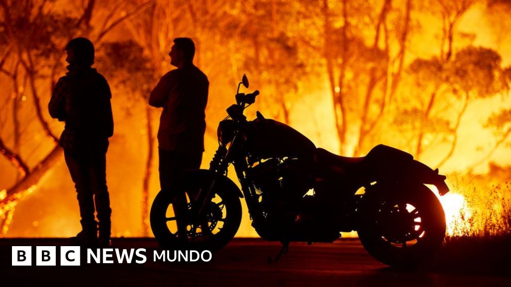 Incendios en Australia: las impactantes imágenes del fuego que está ...