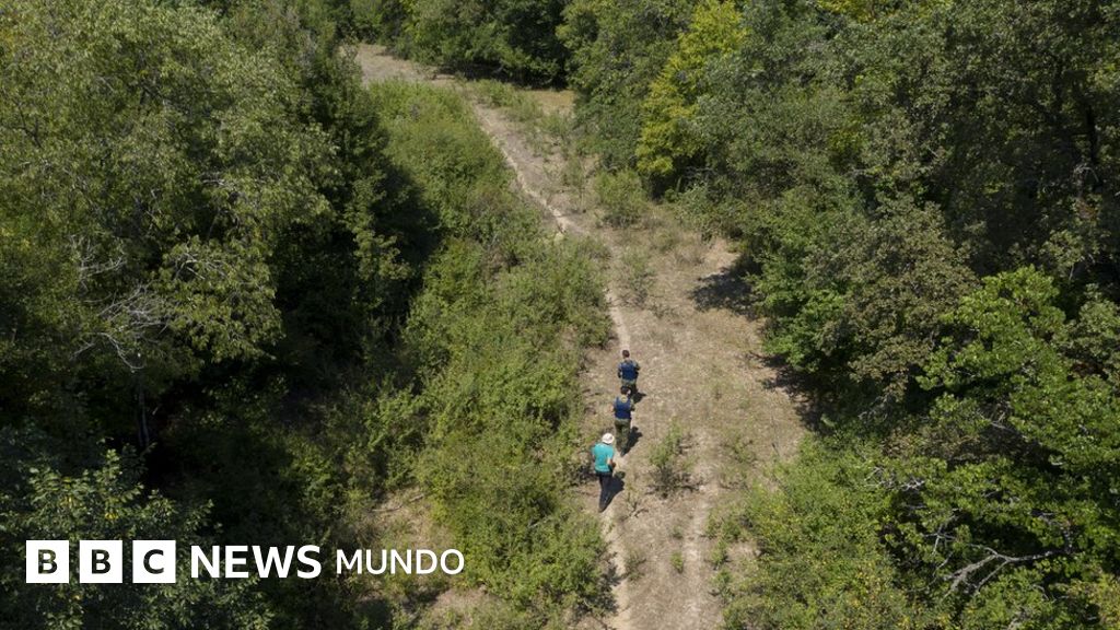 Marihuana Cómo Es La Mayor Ruta De Tráfico De Cannabis En Europa Y