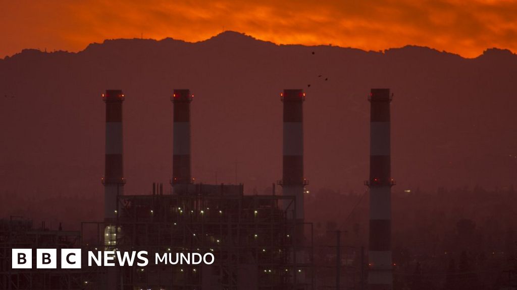 “No digan cambio climático”: los términos y expresiones prohibidos por ...