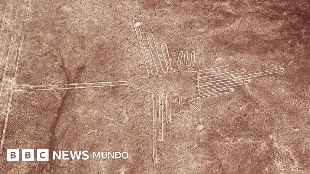 La sorprendente identidad de las misteriosas aves gigantes en las ...