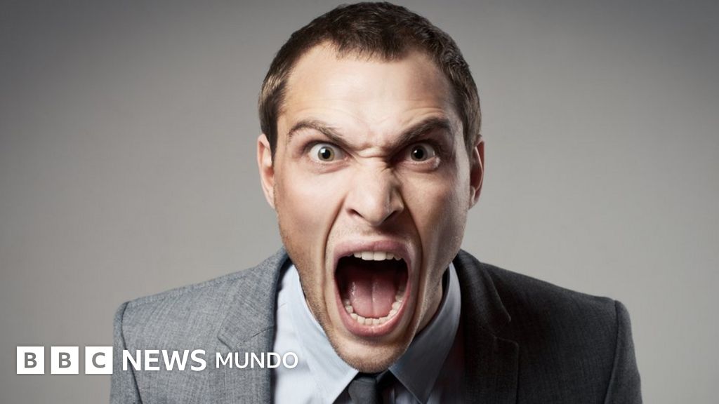 ¿Qué pasa en nuestro cerebro que hace que tendamos a ser más ...