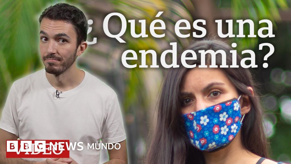 Covid: qué es una endemia, en qué se diferencia de la pandemia y cómo ...