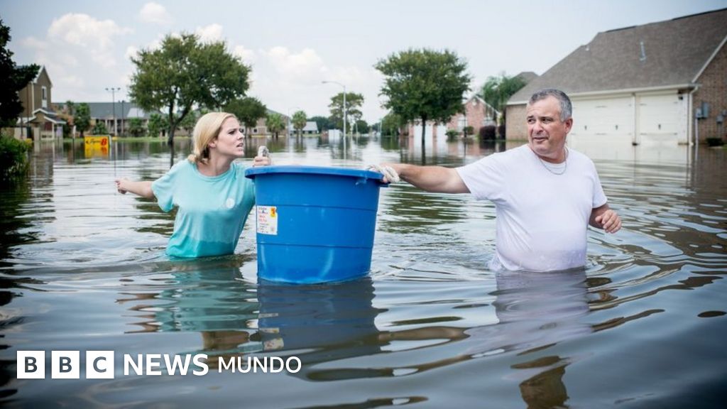 Cómo las inundaciones del huracán Harvey en Houston hundieron la ...