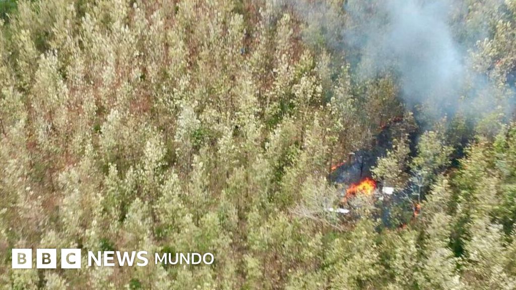 Una avioneta se estrella en el noroeste de Costa Rica y deja 12 muertos - BBC News Mundo