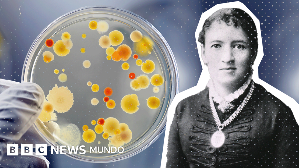 Fanny Angelina Hesse, la mujer que revolucionó la microbiología con un ...
