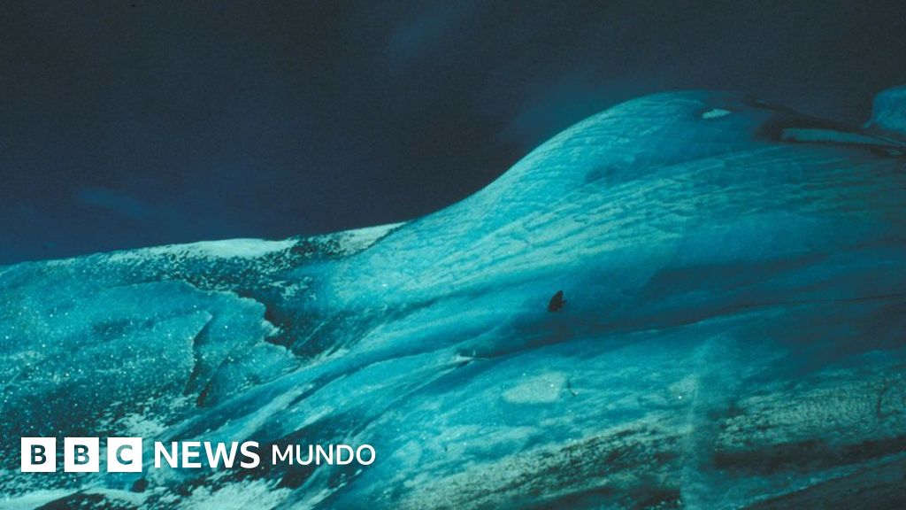 Por qué hay icebergs verdes (y qué ventajas tienen) - BBC News Mundo