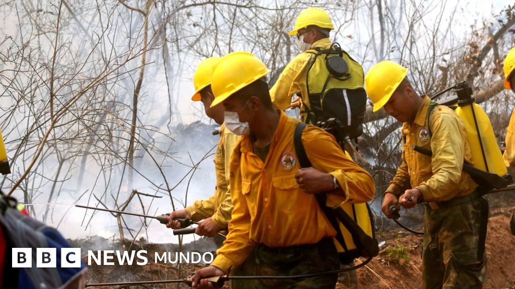 Incendios en el Amazonas: las críticas contra Bolivia y Paraguay (y no ...