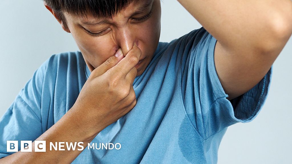 ¿Pueden ciertos alimentos hacer que huelas mejor? - BBC News Mundo