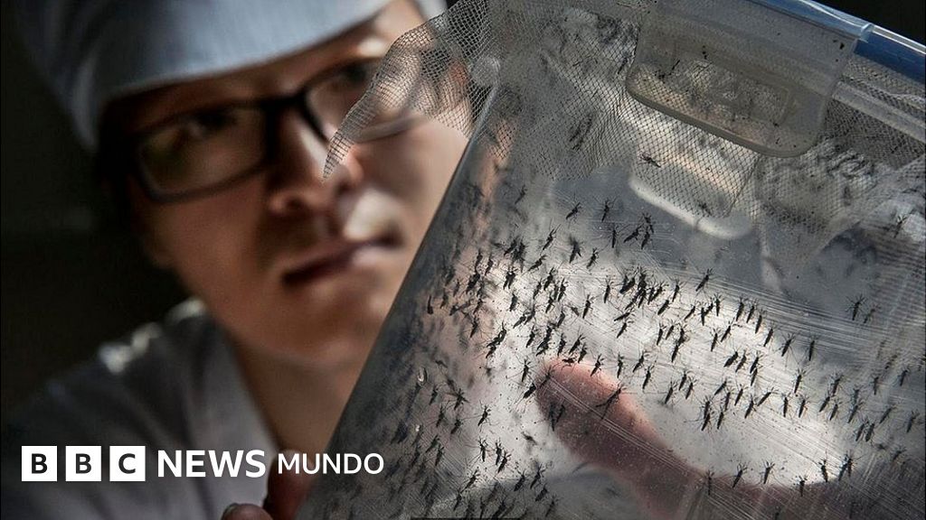 Cuáles son los desafíos urgentes que enfrenta la humanidad - BBC News Mundo