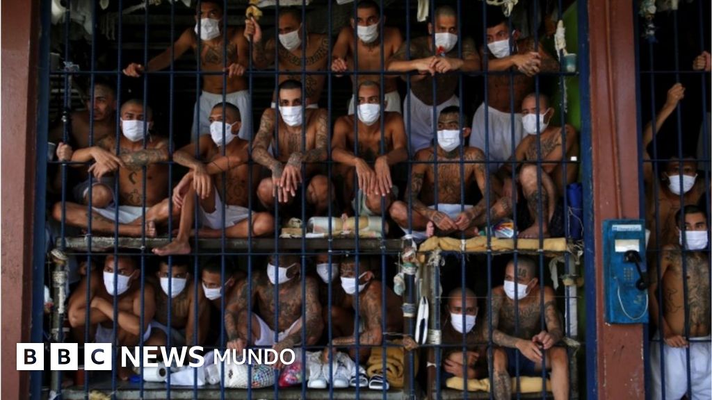 Maras en El Salvador | "Son criminales y no están con este gobierno ...