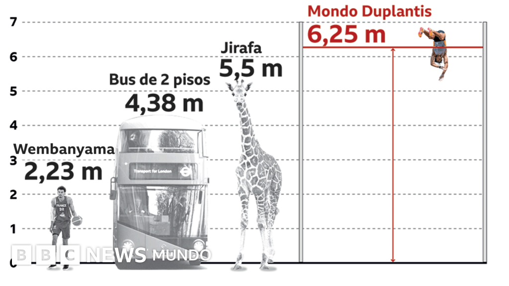 Olimpiadas: El gráfico que muestra la espectacular dimensión del récord ...