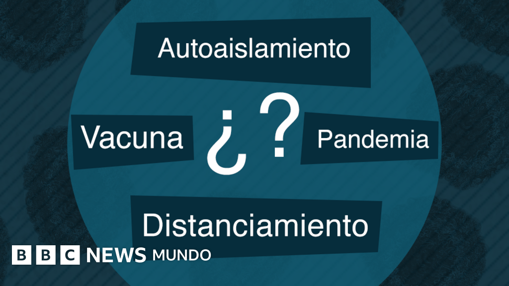 Coronavirus: "inmunidad del rebaño" y otros términos clave sobre el ...