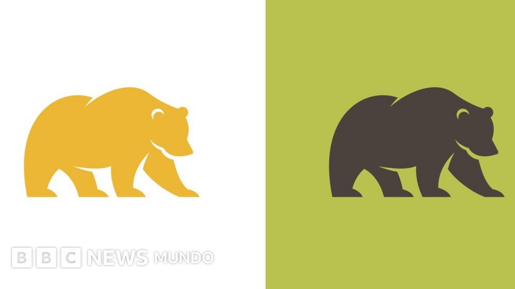 Entrena tu mente: ¿de qué color es el oso? - BBC News Mundo