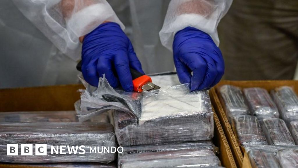 Por qué hay sobreoferta de coca en América Latina (y las repercusiones ...