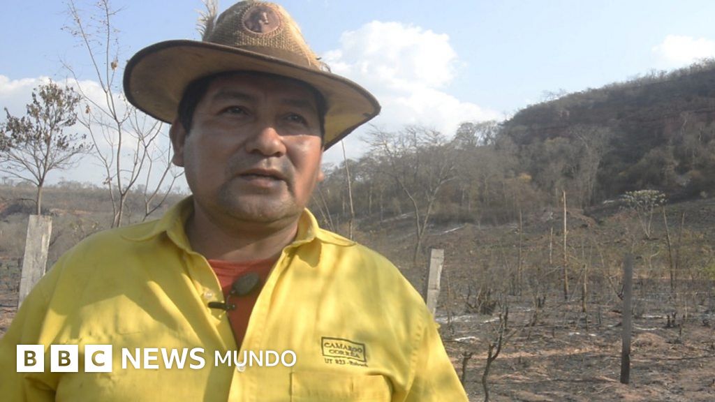 Incendios en el Amazonas: "Se quemó todo nuestro esfuerzo de muchos ...
